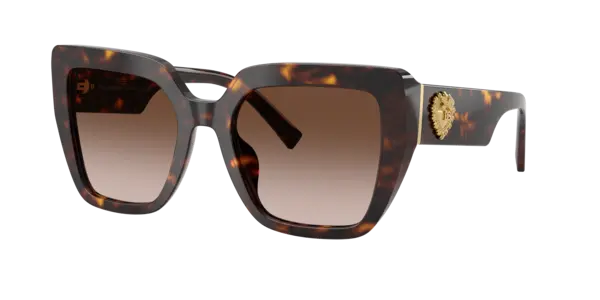 Dolce & Gabbana Sunglasses - Gradient Brown