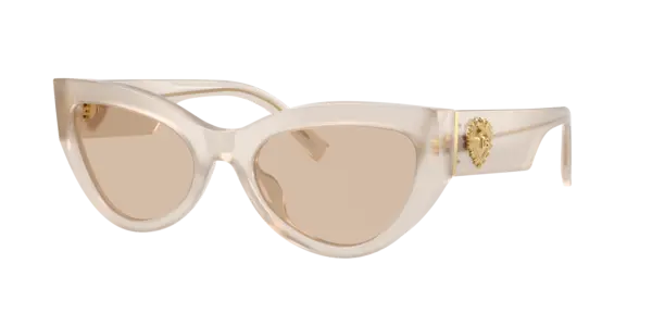 Dolce & Gabbana Dg4536 Sunglasses - Light Brown
