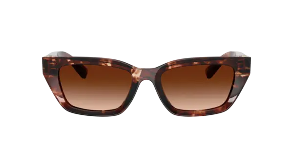 Dolce & Gabbana Sunglasses - Brown Gradient
