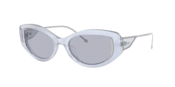 DIESEL® Dl2001mu Sunglasses - Violet