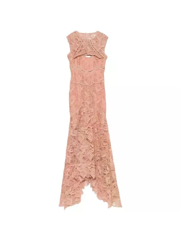 Costarellos Lace Cut-out Maxi Dress - Pink