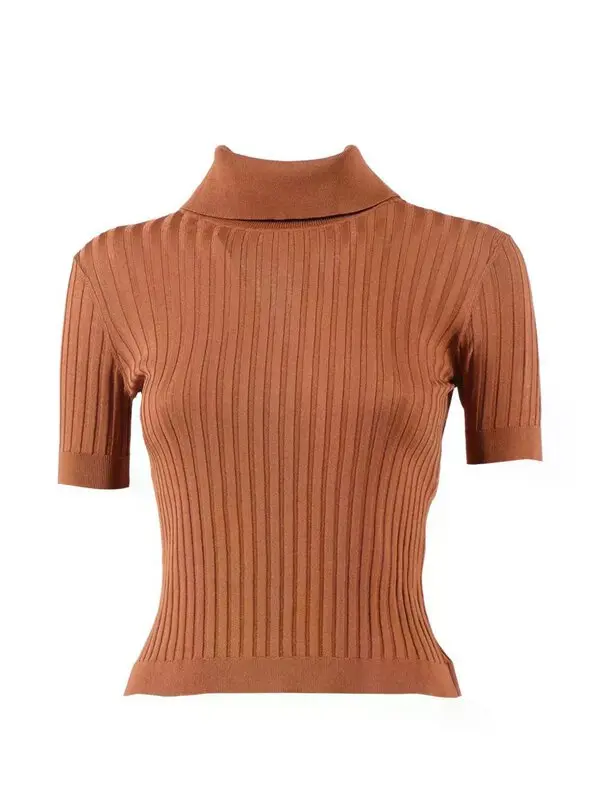 Elisabetta Franchi Ribbed Roll-neck Top - Brown