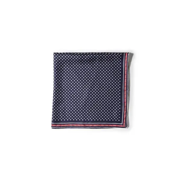 Miu Miu Printed Silk Scarf - Blue/white