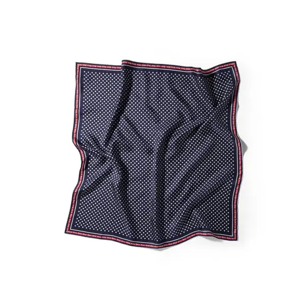 Miu Miu Printed Silk Scarf