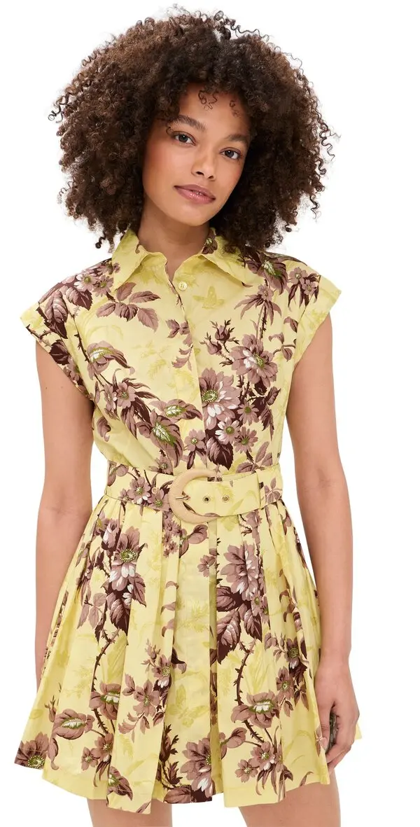 Cara Cara Octavia Mini Dress - Windsor Lemon