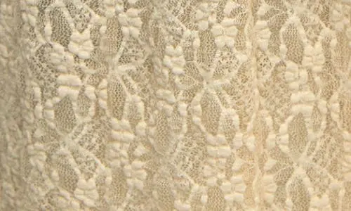 Sam Edelman Semisheer Stretch Lace Top - Almond