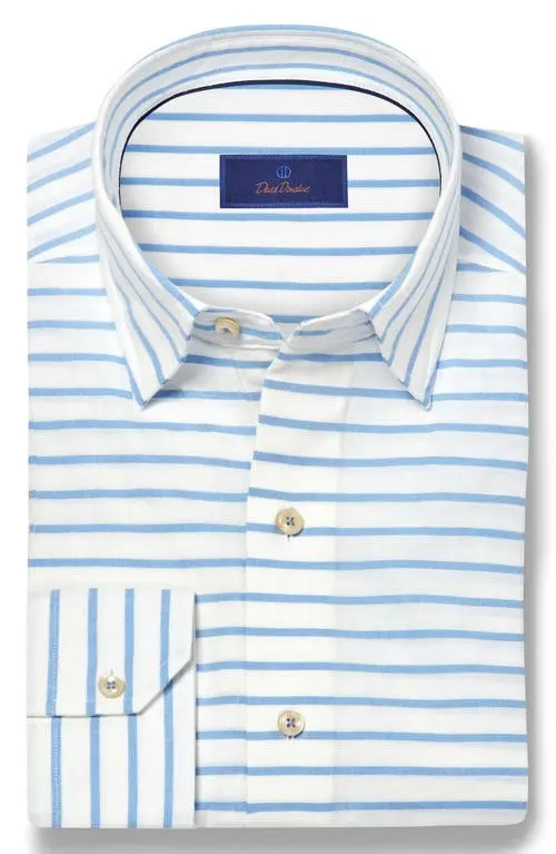 David Donahue Barre Stripe Slub Cotton Button-up Shirt