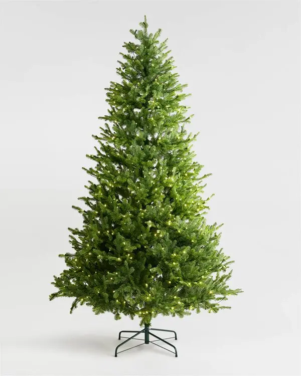 Quince Fraser Fir Christmas Tree: Lit - Forest Green