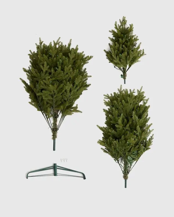Quince Fraser Fir Christmas Tree: Lit