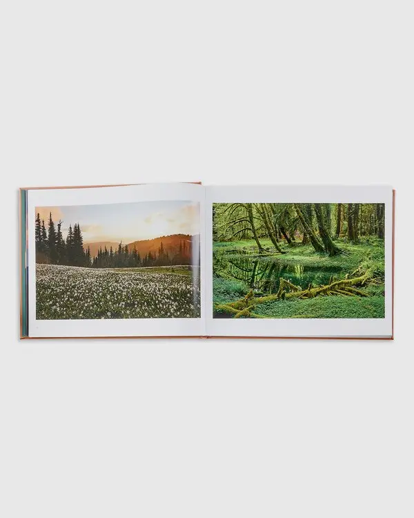 Quince Graphic Image Treasured Lands Leather Bound Book