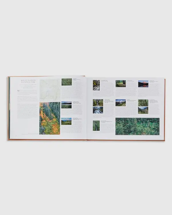 Quince Graphic Image Treasured Lands Leather Bound Book