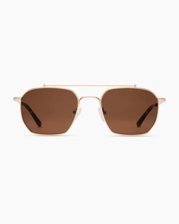Quince Baja Polarized Stainless Steel Sunglasses - Gold With Brown Lens