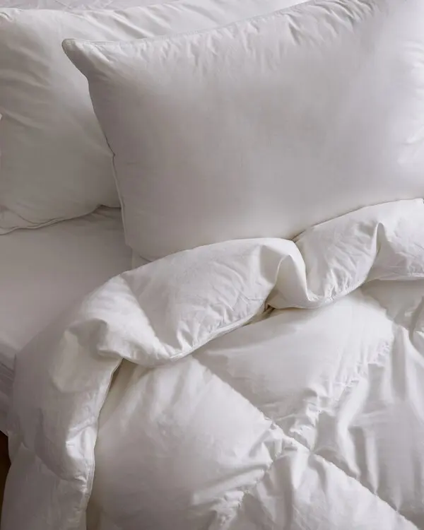 Quince Lightweight Premium Comforter, Size