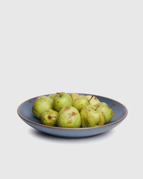 Quince East Fork Coupe Plate, Set Of 4 - Blue Ridge