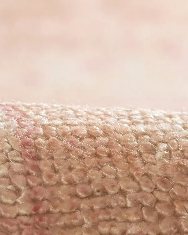 Quince Arya Performance Rug - Pink