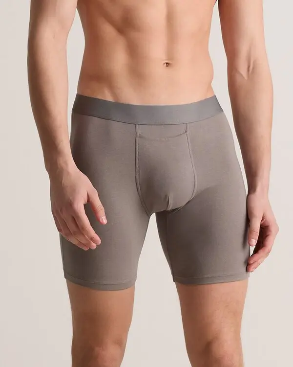Quince 6 Boxer Brief - Grey