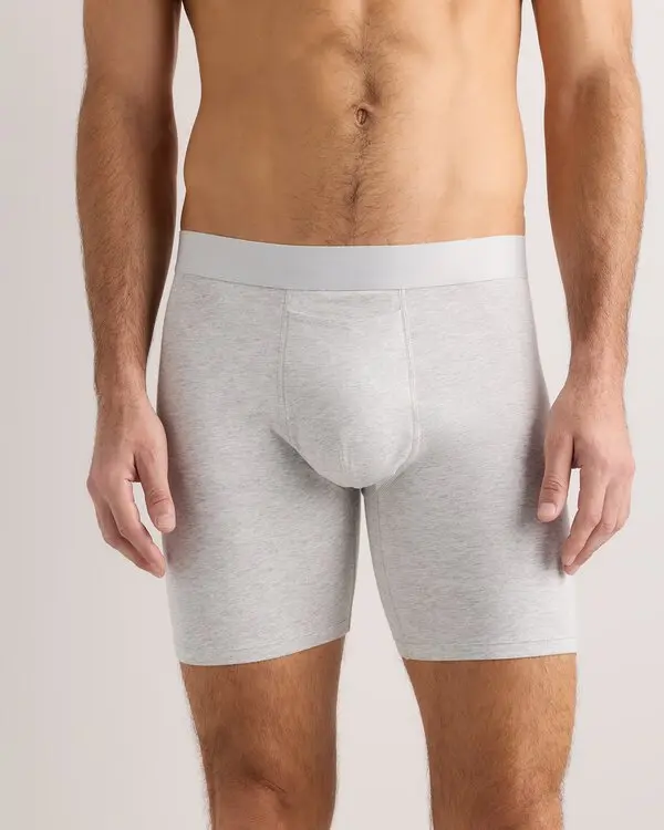 Quince 6 Boxer Brief - Light Grey