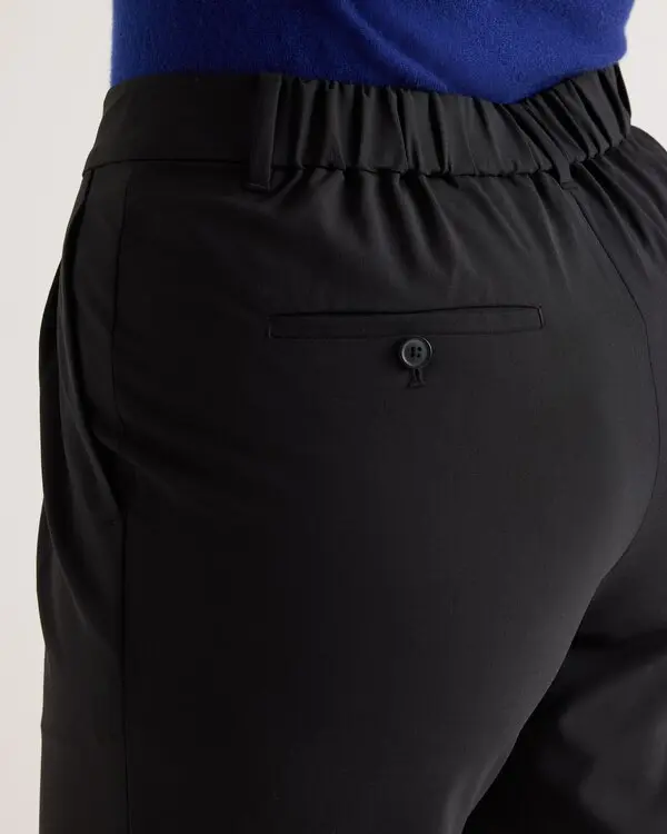 Quince Italian Wool Pleated Trousers