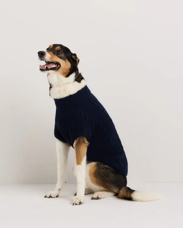 Quince Cashmere Cable Knit Dog Sweater - True Navy