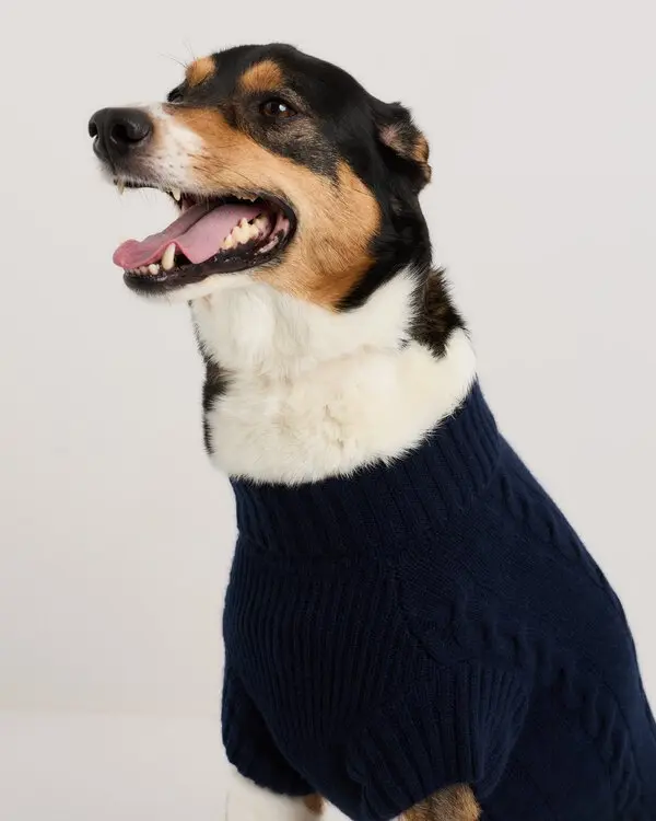 Quince Cashmere Cable Knit Dog Sweater - True Navy