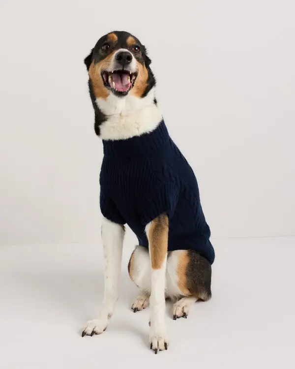 Quince Cashmere Cable Knit Dog Sweater - True Navy