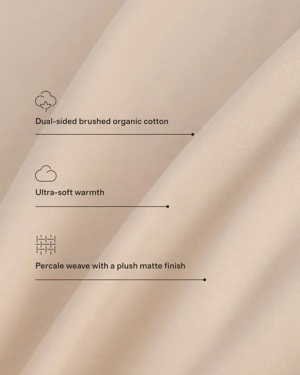 Quince Organic Brushed Cotton Sham - White