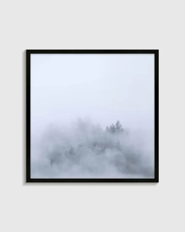 Quince Above The Mist Laura Zimmerman, Wood Frame - Black