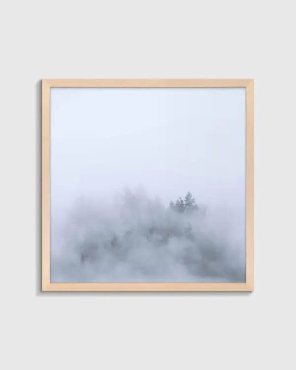 Quince Above The Mist Laura Zimmerman, Wood Frame - Maple