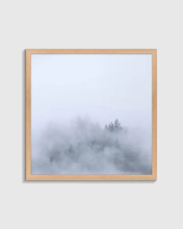 Quince Above The Mist Laura Zimmerman, Wood Frame - Oak