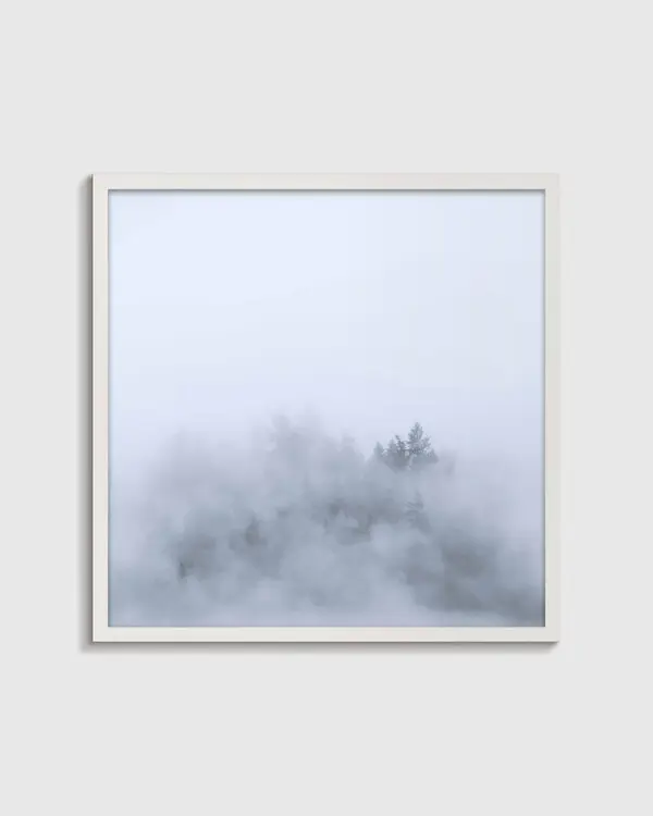 Quince Above The Mist Laura Zimmerman, Wood Frame - White