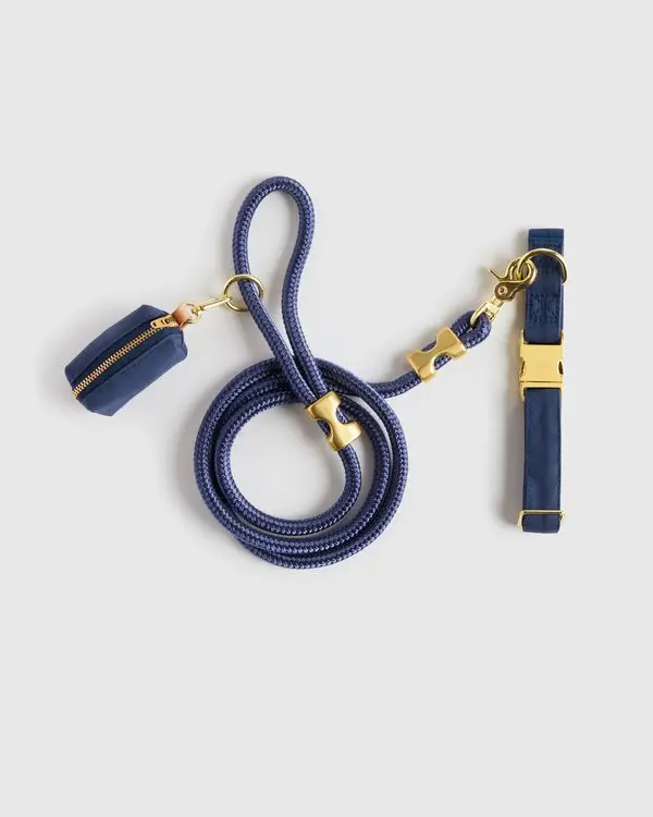 Quince Wrapped Nylon Dog Collar Walk Kit - Navy