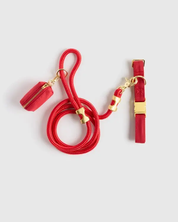Quince Wrapped Nylon Dog Collar Walk Kit