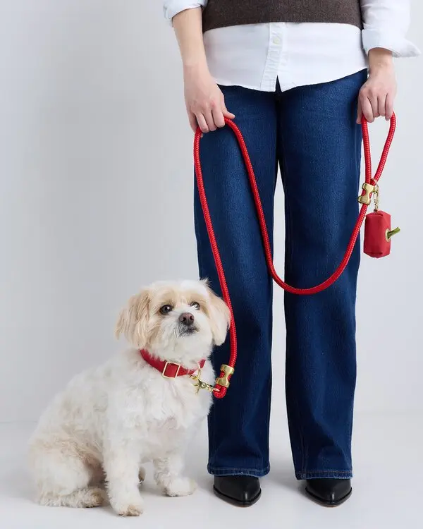 Quince Wrapped Nylon Dog Collar Walk Kit
