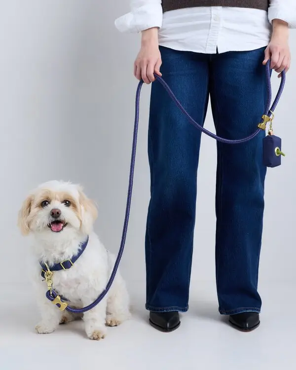 Quince Wrapped Nylon Dog Harness Walk Kit - Navy