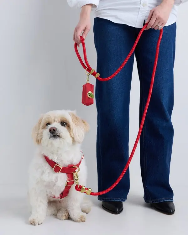 Quince Wrapped Nylon Dog Harness Walk Kit