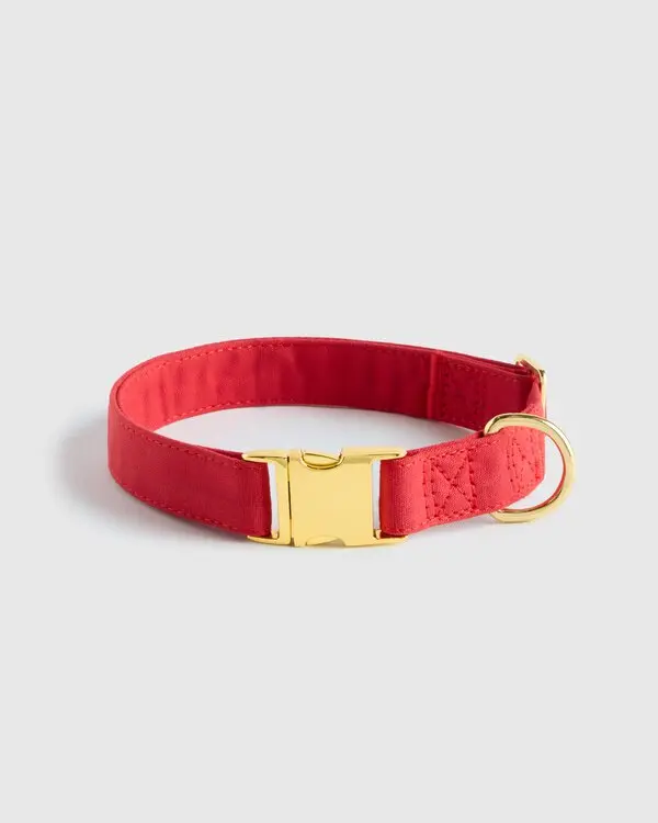Quince Wrapped Nylon Dog Collar - Ruby