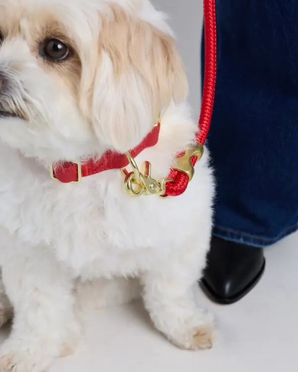 Quince Wrapped Nylon Dog Collar - Ruby