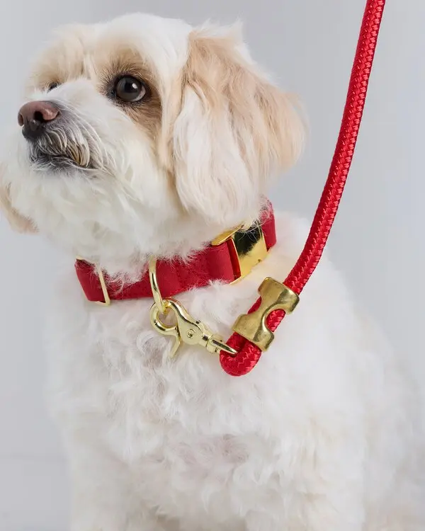 Quince Double-braided Nylon Rope Dog Leash