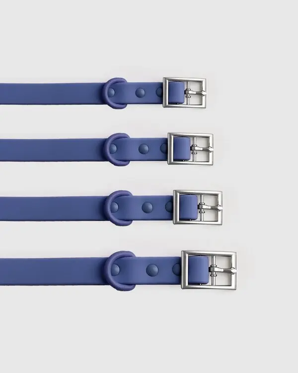 Quince Dog Collar Walk Kit - Navy