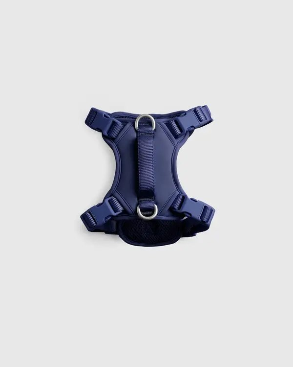 Quince Dog Harness Walk Kit - Navy