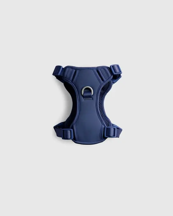Quince Dog Harness Walk Kit - Navy