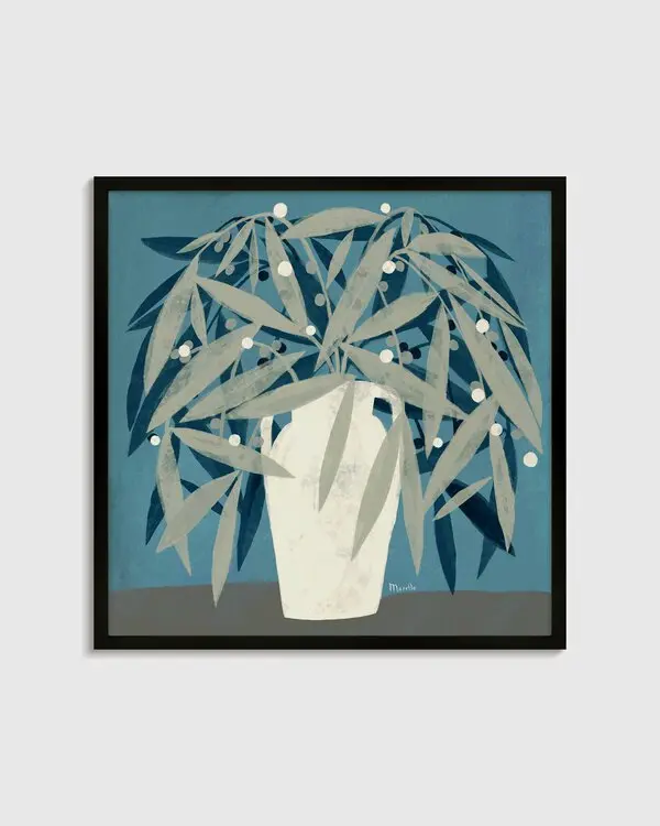 Quince Blue Plant Marco Marella - Black
