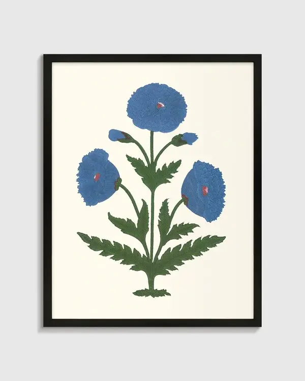 Quince Blue Mughal Poppy Antique Print, Wood Frame - Black