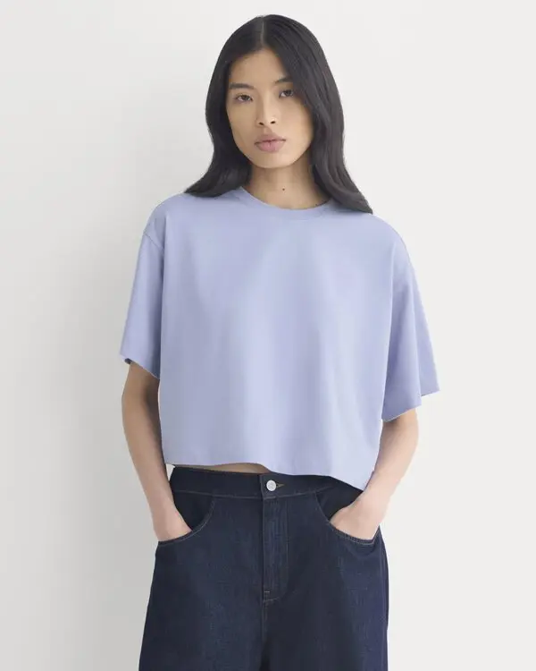 Everlane Forever Jersey Cropped T-shirt - Aleutian