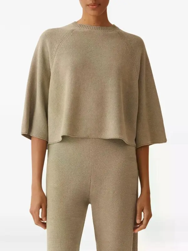 Fabiana Filippi Round-neck Cropped Sweater