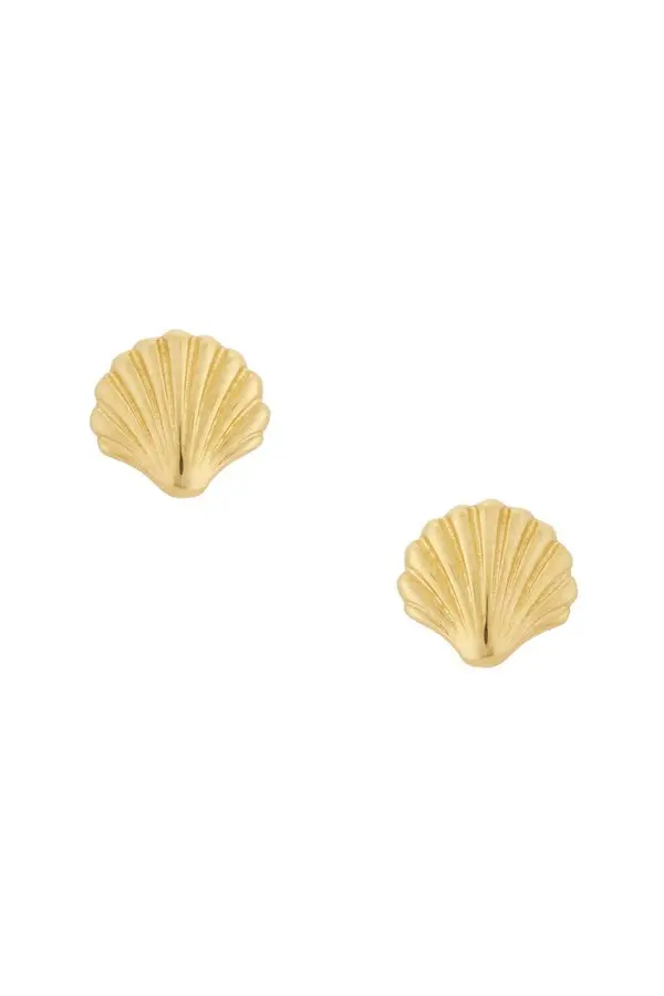 STONE AND STRAND Scallop Shell Earrings - 14k Yellow Gold