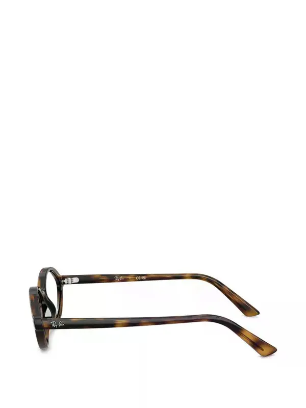 Ray-ban Sunglasses