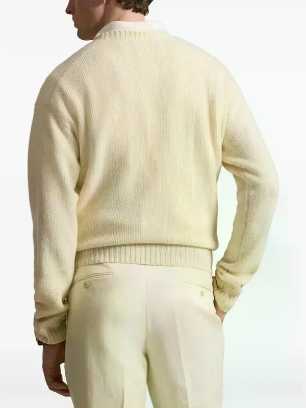 Polo Ralph Lauren Printed Crew Neck Sweater