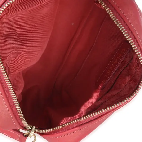Chanel Iridescent Quilted Lambskin Camera Bag