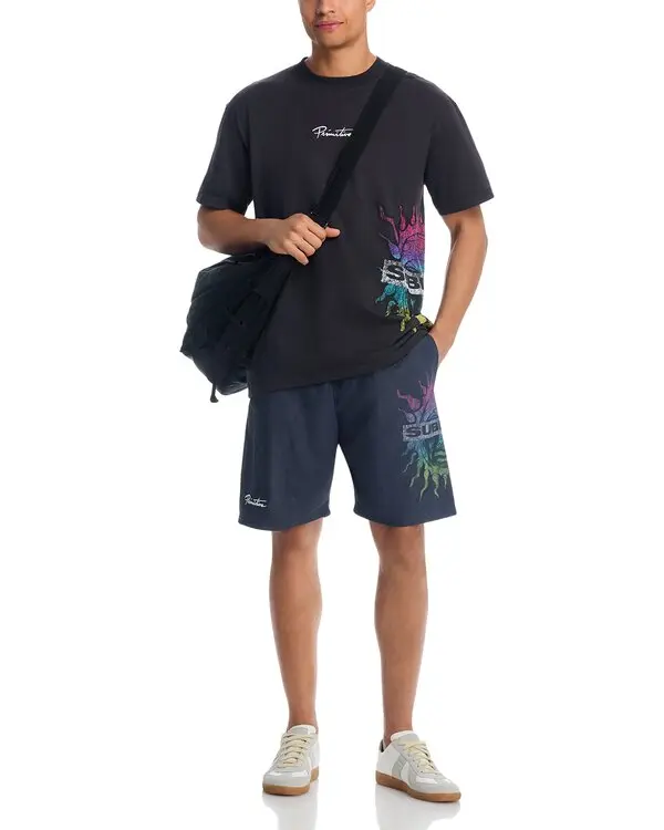 PRIMITIVE SKATE Sublime Solstice Board Shorts